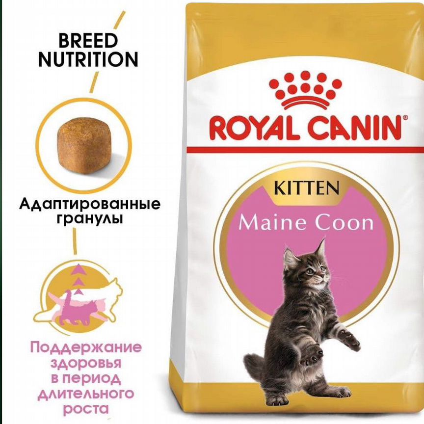 Корм Royal Canin для котят, Maine Coon Kitten