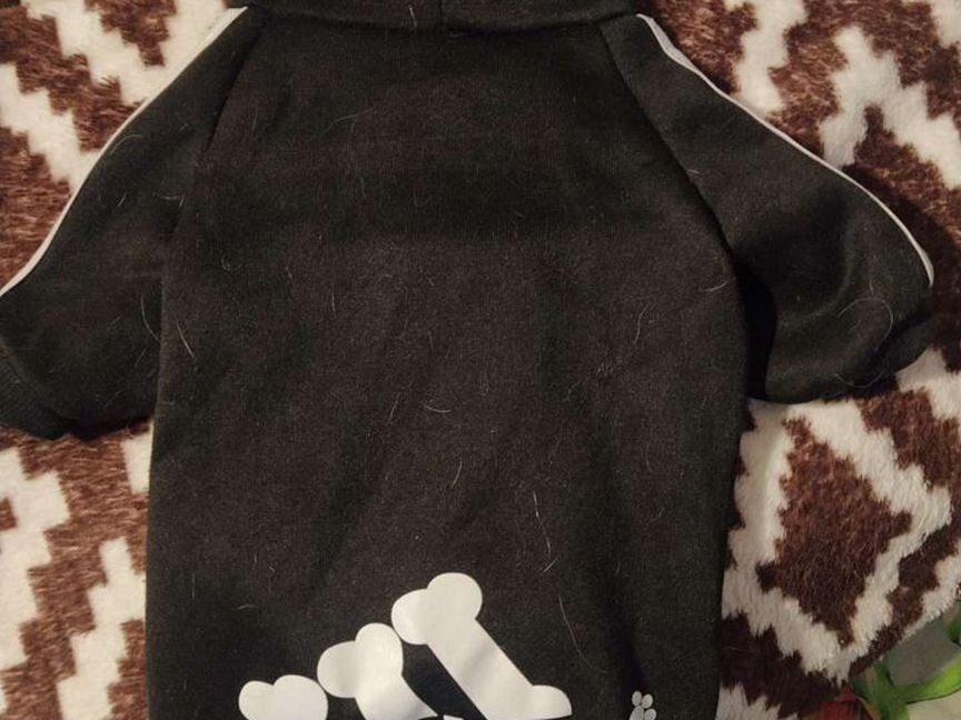 Кофта на собачку