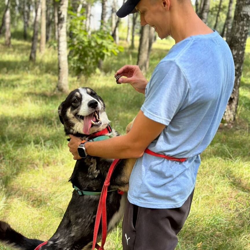 Очаровательная красотка из приюта