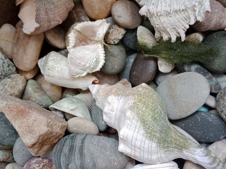 Декорация (фигурки) для аквариума