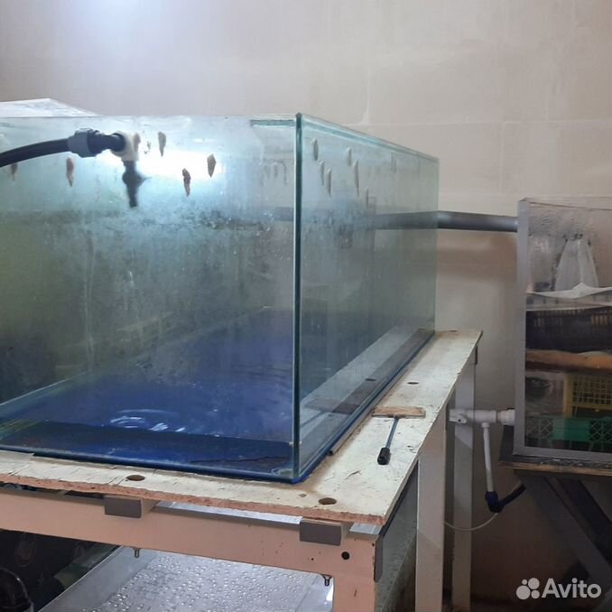 Аквариумы б/у 300 и 500л./ Вихревой компр. HG 180С