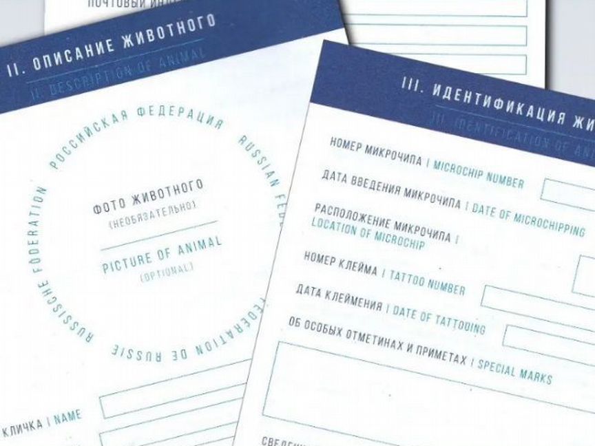 Ветеринарный паспорт