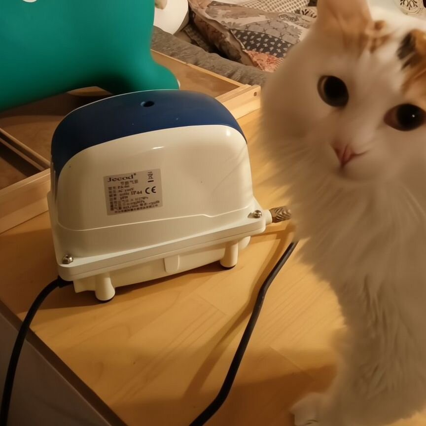 Компрессор воздушный бу для септика и аквариума