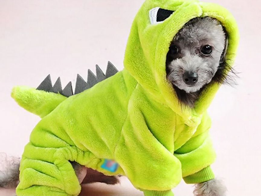 2024 костюм дракона для собаки