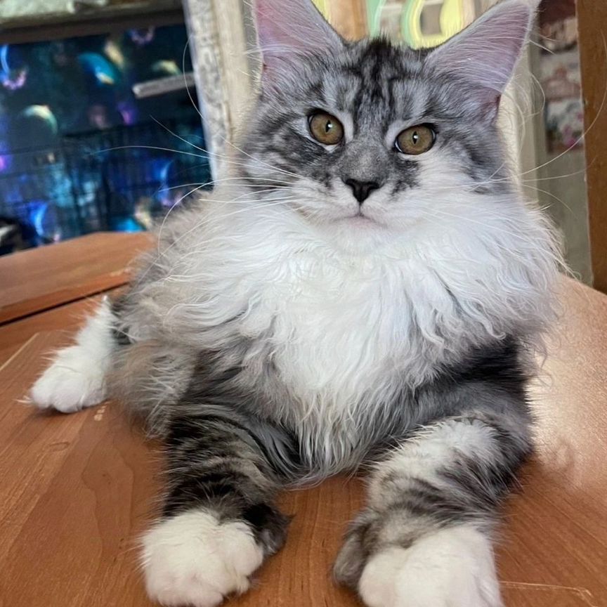 Девочка полидакт