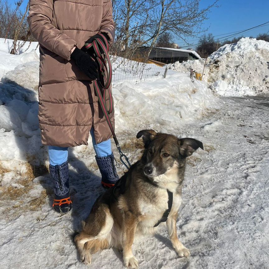 Маленькое сокровище из приюта