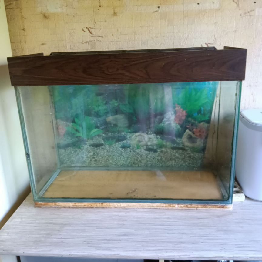 Аквариумы от 300 литров