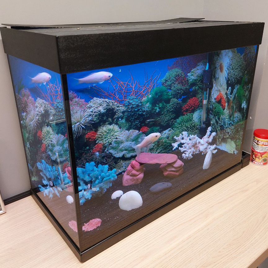 Аквариум 65 л