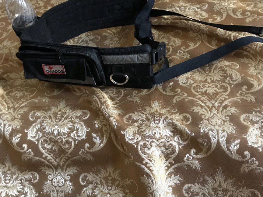 Пояс для прогулок и бега с собакой Canadog