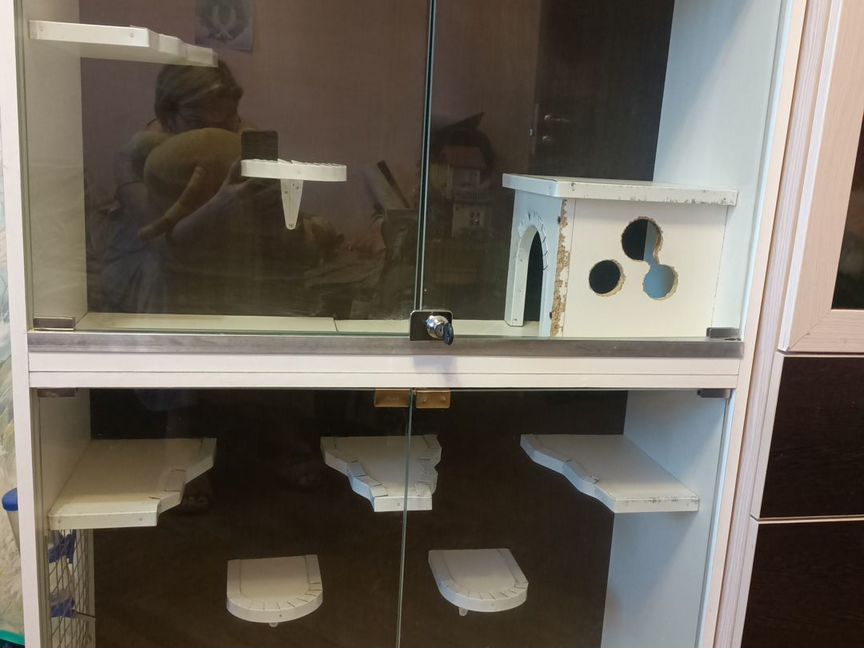 Стеклянная витрина для шиншилл