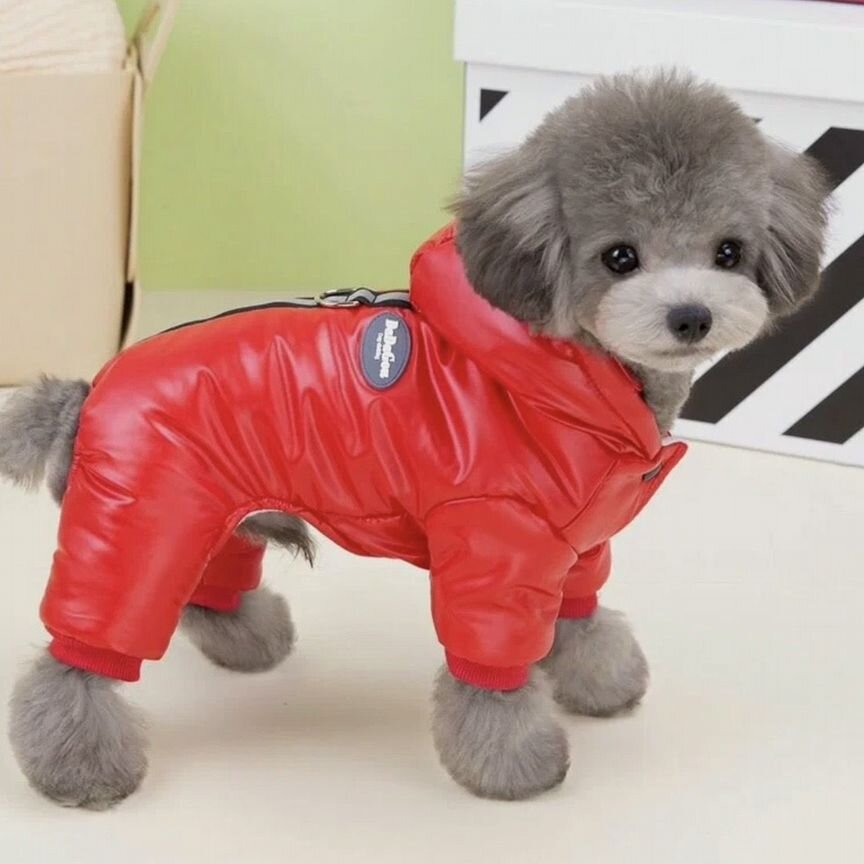 Зимняя одежда для собак