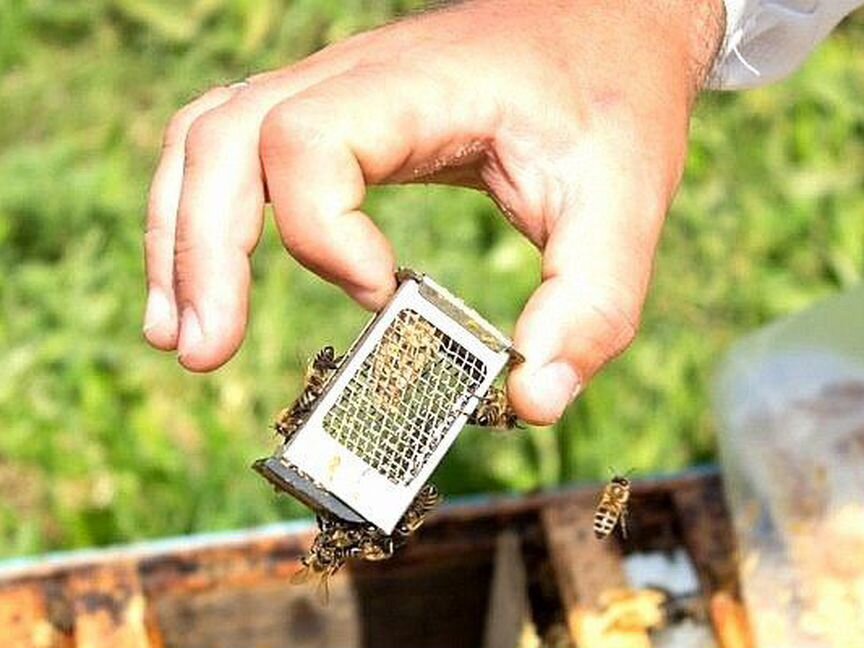 Все для пасеки. Корпуса, кормушки, крюки и др