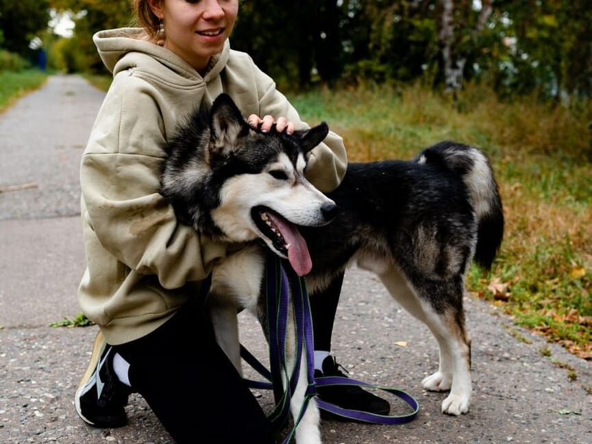 Молодой Алтай ищет дом