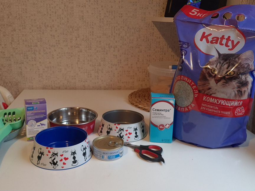 Принадлежности для кошки