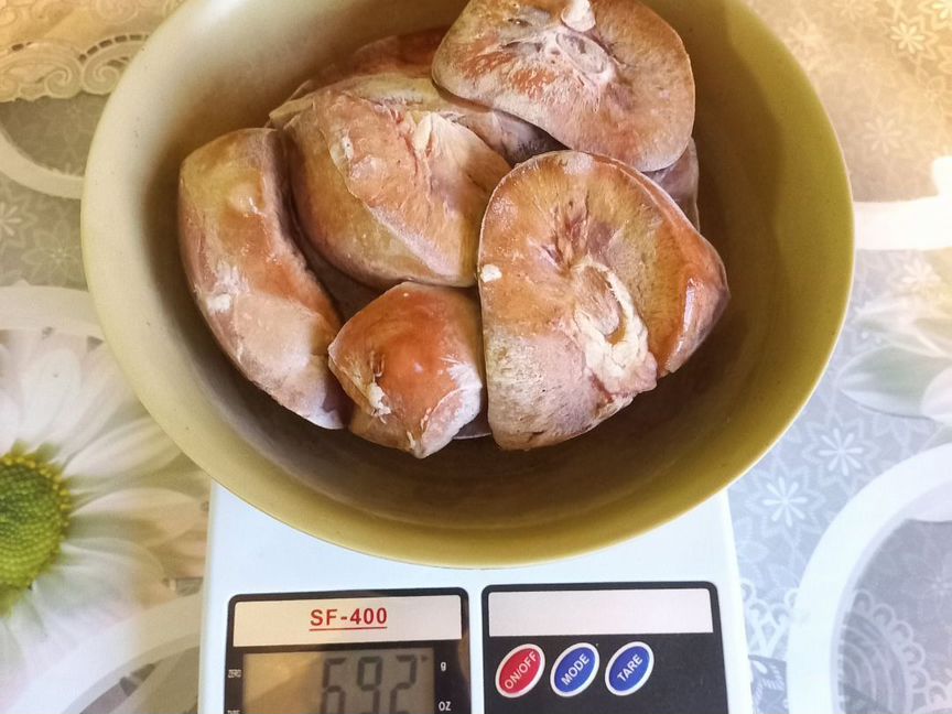 Почки конские