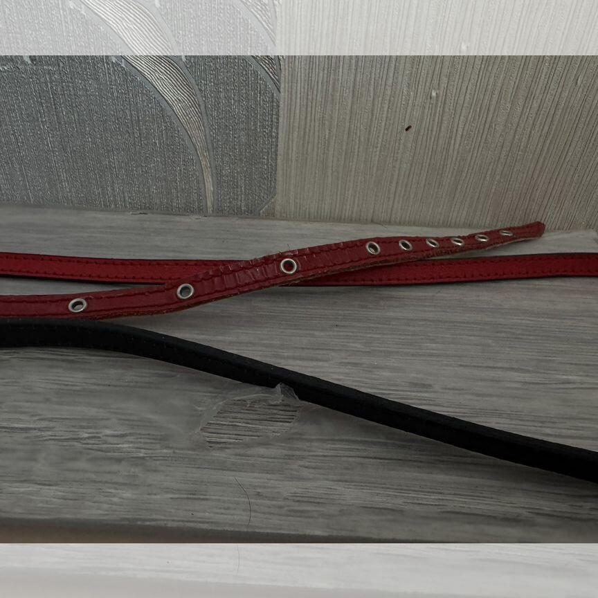 Ошейник и поводок