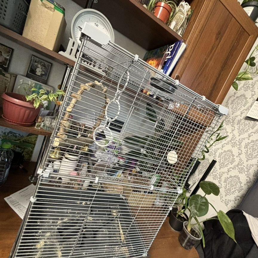 Клетка для попугая
