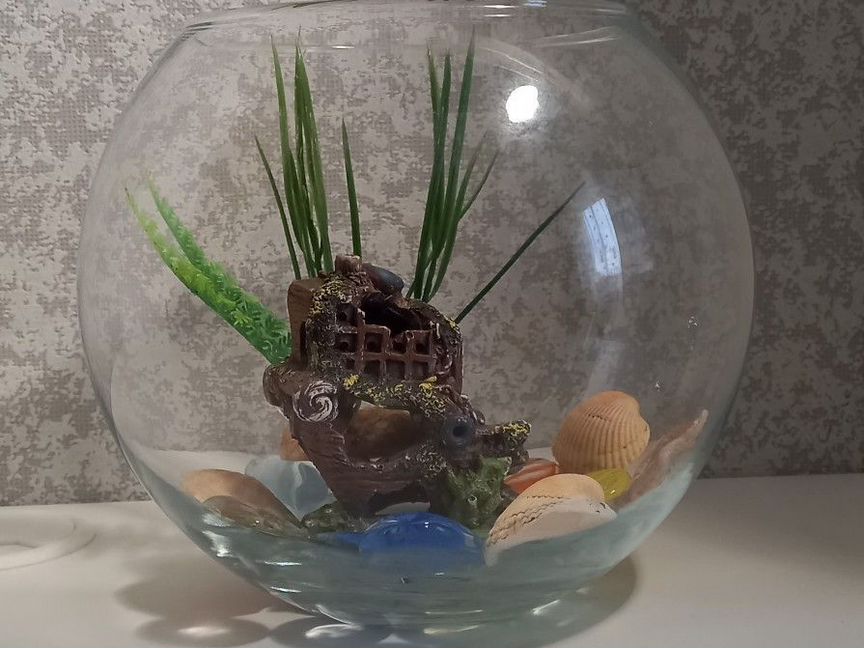 Аквариум / Флорариум