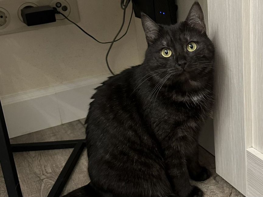 Гаечка 2 года