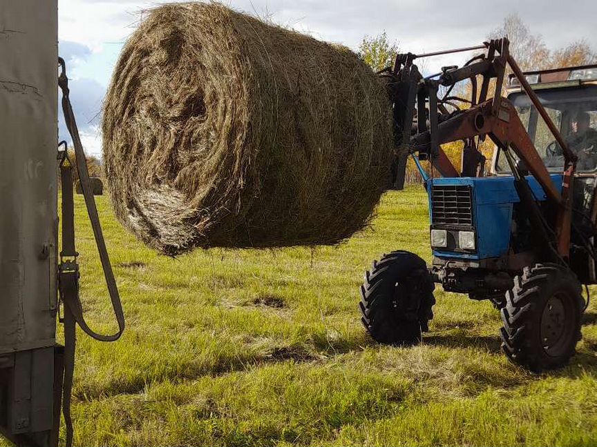 Сено в рулонах