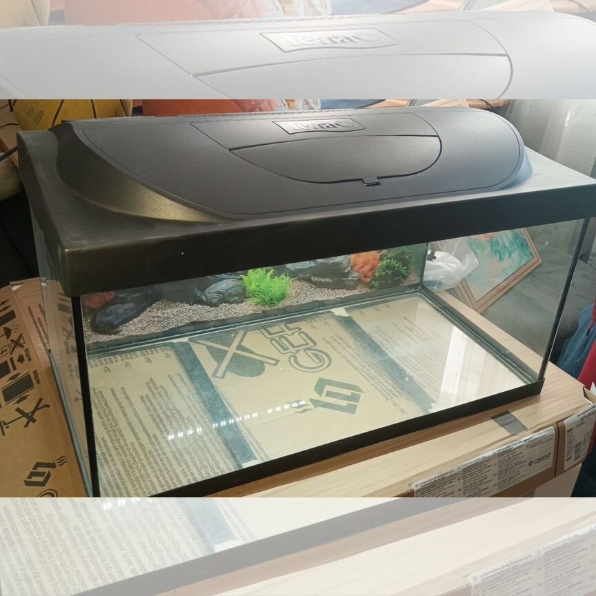 Аквариум 50-60 литров