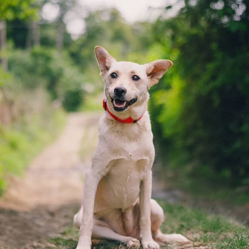 Белоснежная красотка Эстель ждет тебя