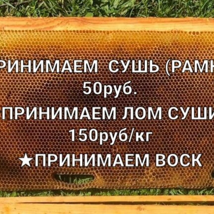 Воск/сушь/лом суши