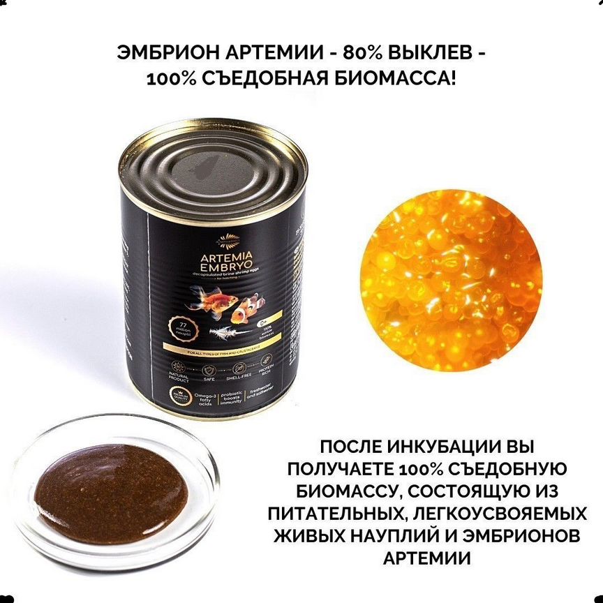 Яйца Артемии "Эмбрион" с выклевом 80%