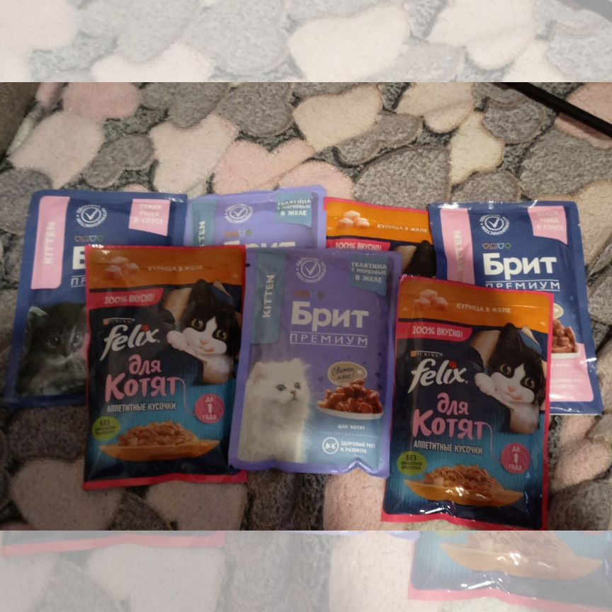 Влажный корм для кошек