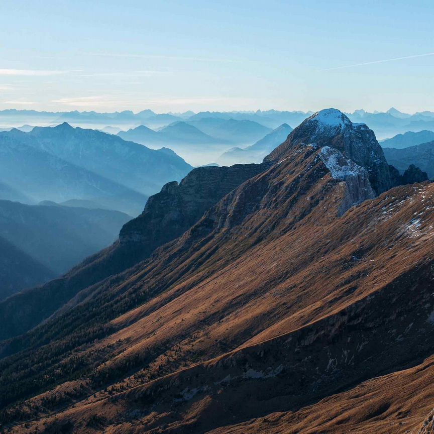 Аквариумные рыбки