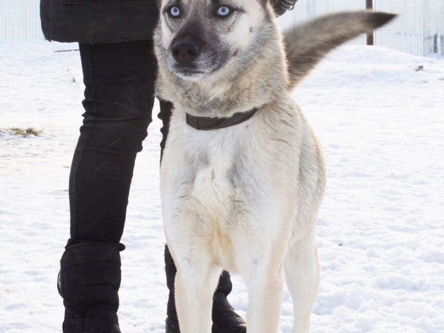 Варвара 3 года