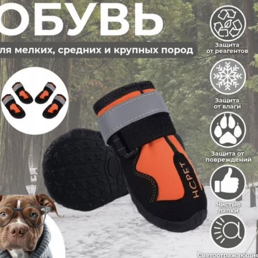 Обувь для собак, демисезон