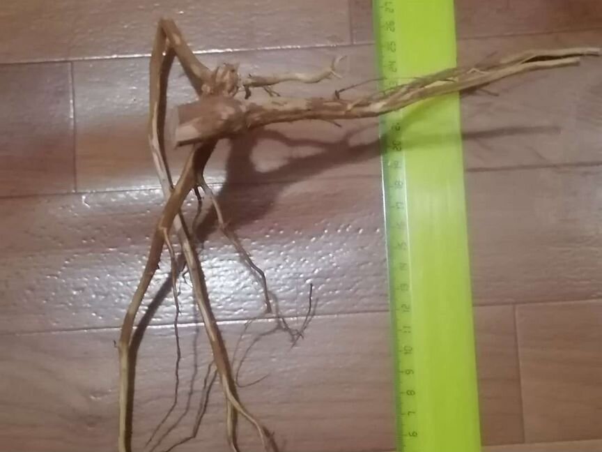 Коряги для аквариума