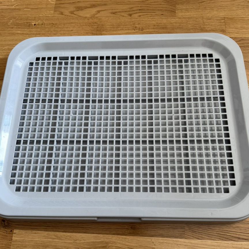 Туалет для собак мелких пород