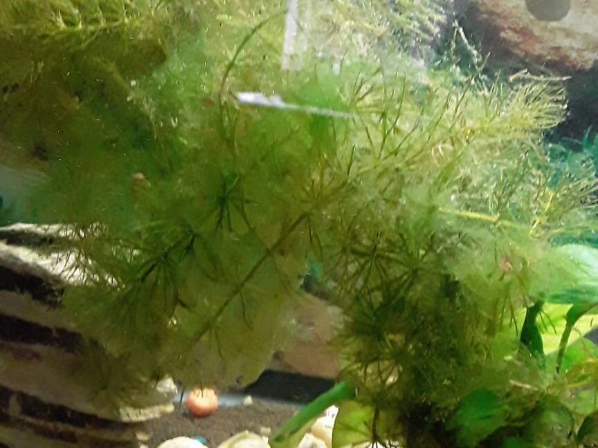 Аквариум с тумбой 120 л