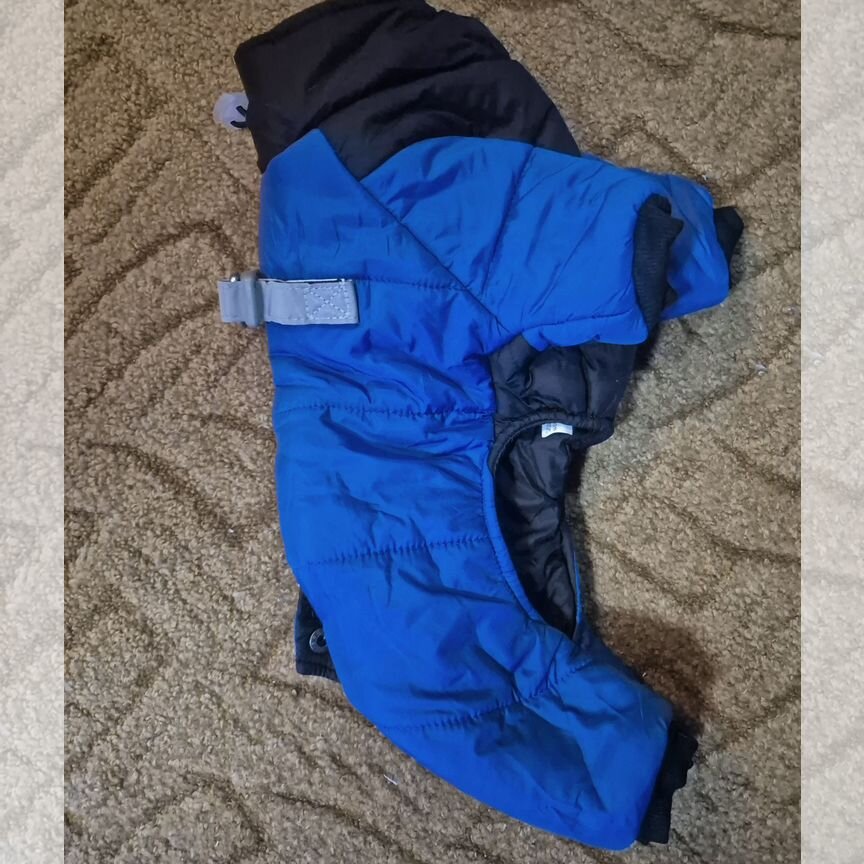 Одежда для маленьких собак зима