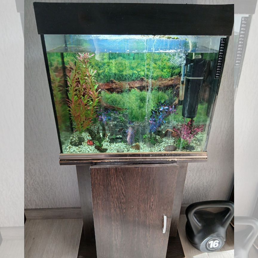 Аквариум с тумбой 90 литров
