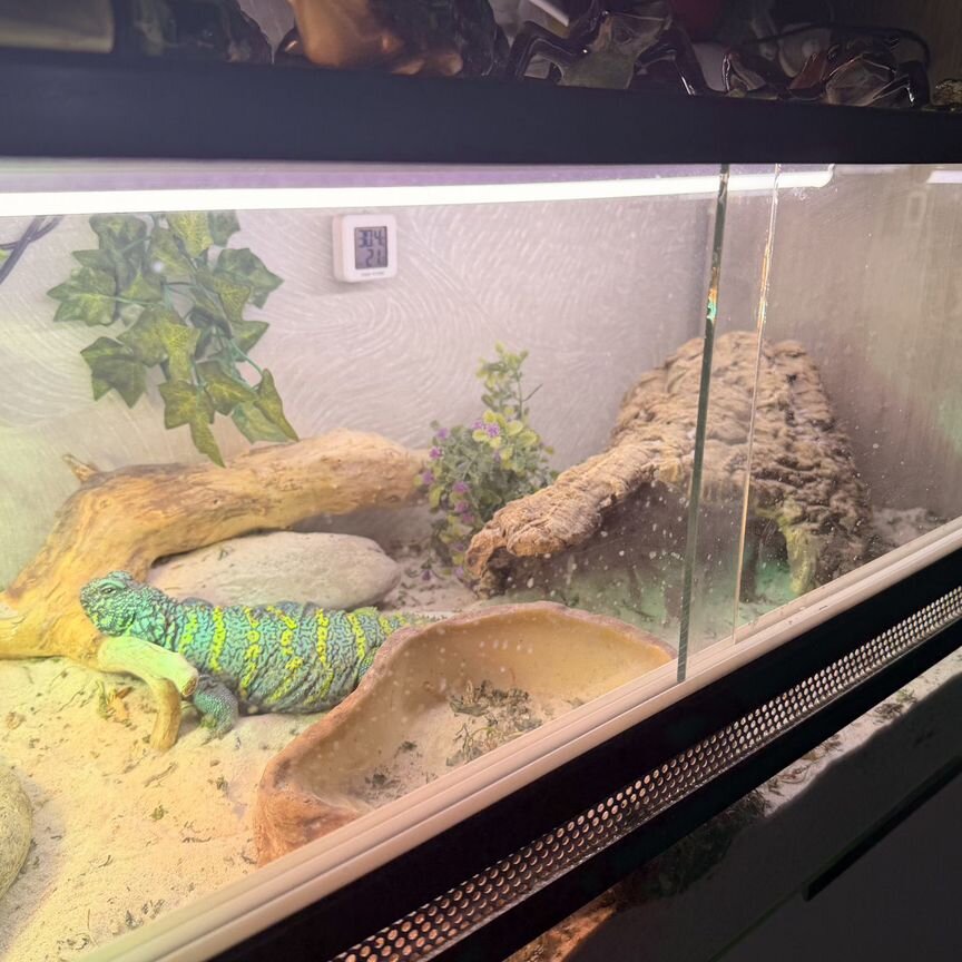 Террариум 100/40/35