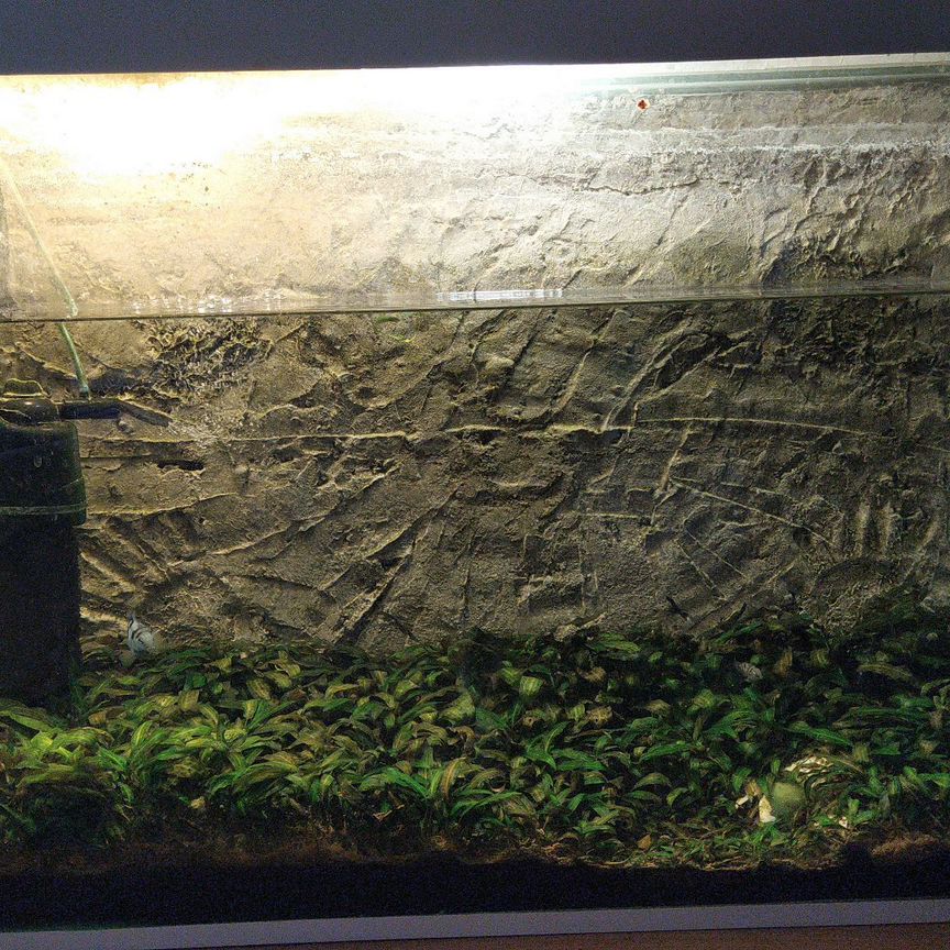 Аквариум 100 литров