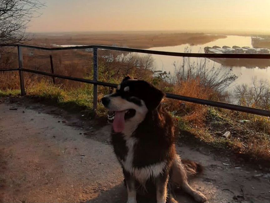 Ищу невесту