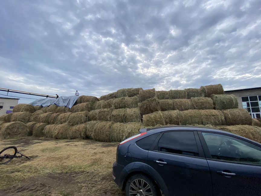 Сено в рулонах и тюках