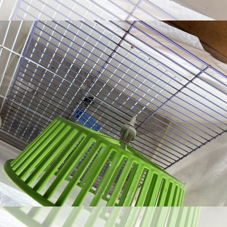 Клетка для хомяка