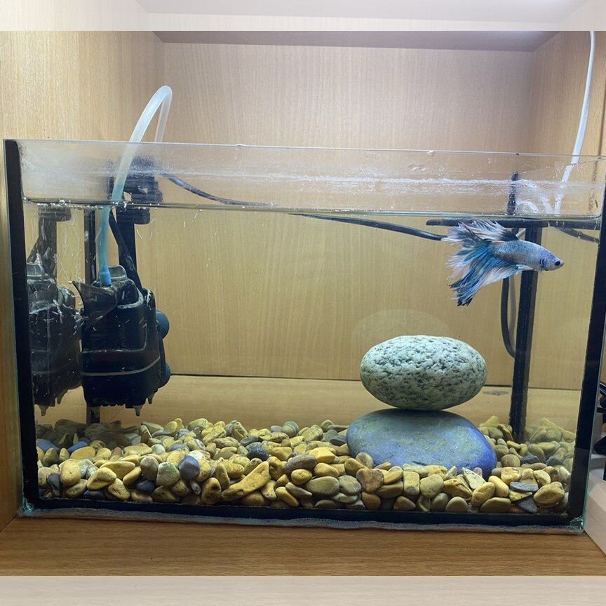 Аквариум 10л