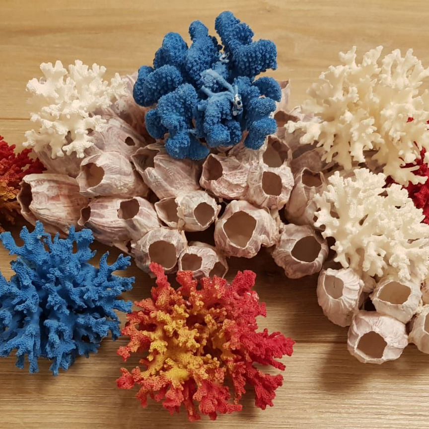 Натуральные аквариумные кораллы
