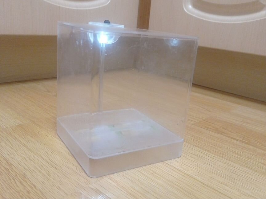 Мини аквариум