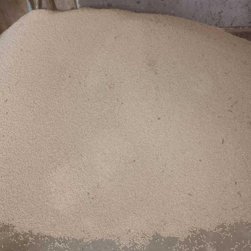 Горох кормовой