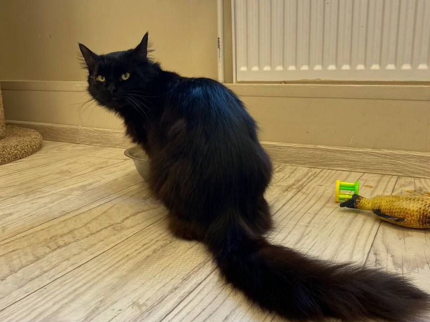 Никто не любит