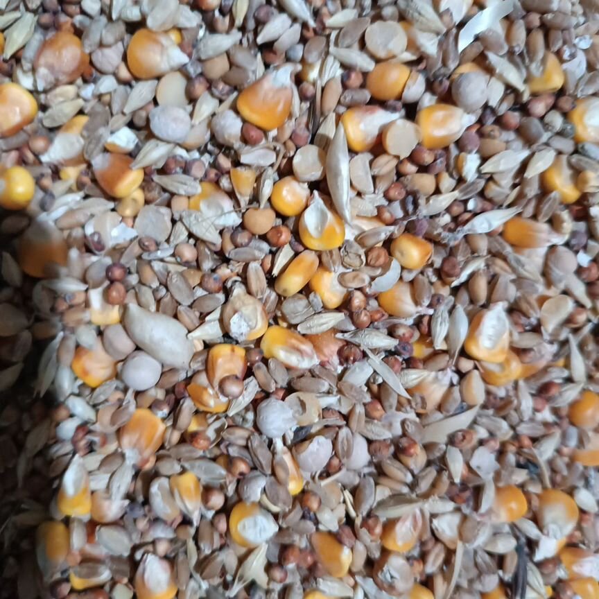 Зерно смесь