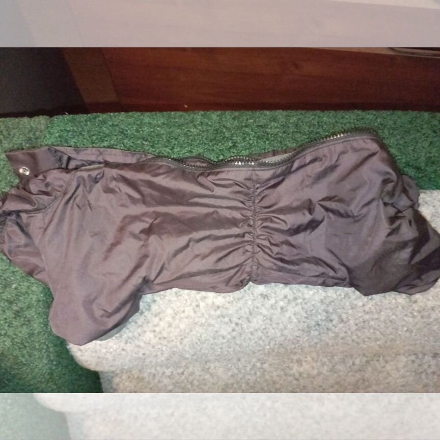 Зимний комбинезон для щенка