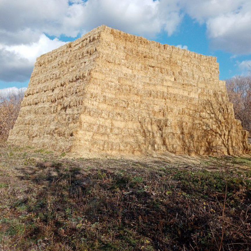 Солома в тюках